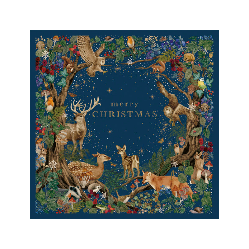 Woodland Wonder Charity Christmas Cards, Marie Curie (Pack of 10 ...