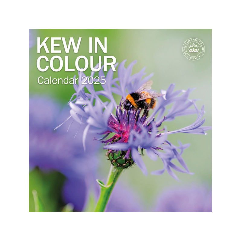 Calendars & diaries – Marie Curie Online Shop