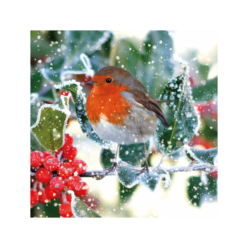 Christmas cards – Marie Curie Online Shop