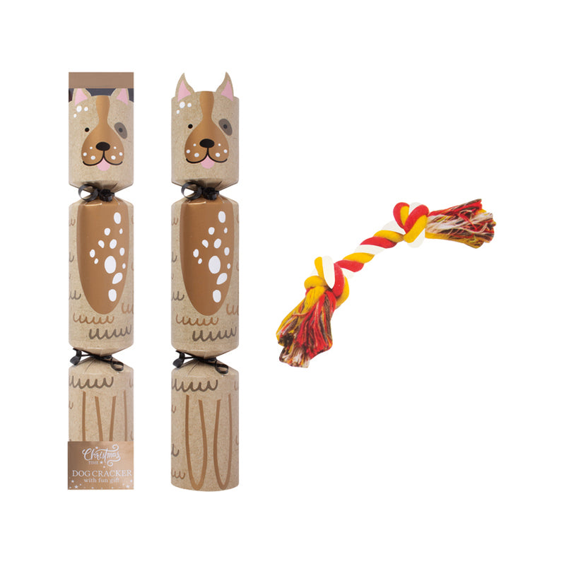 Decorations & Crackers – Marie Curie Online Shop