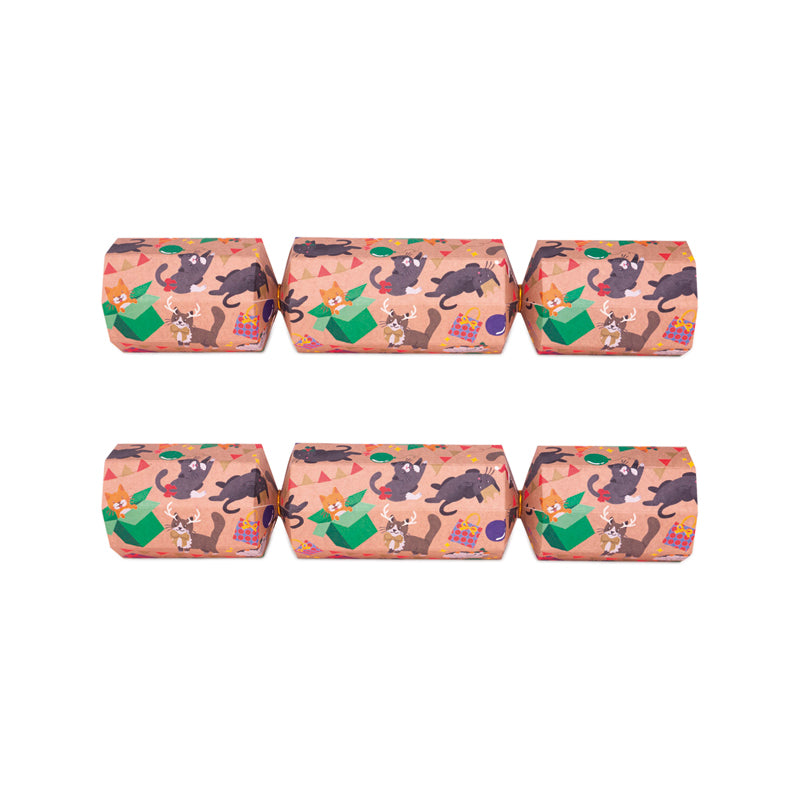 Pet Cat Christmas Cracker – Marie Curie Online Shop