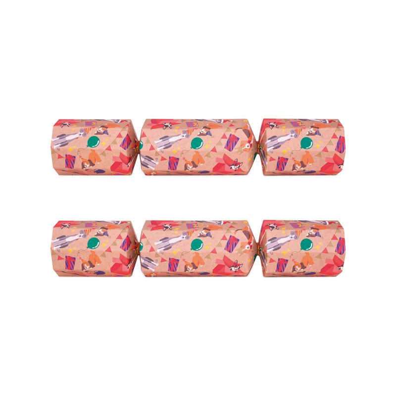 Pet Dog Christmas Cracker – Marie Curie Online Shop