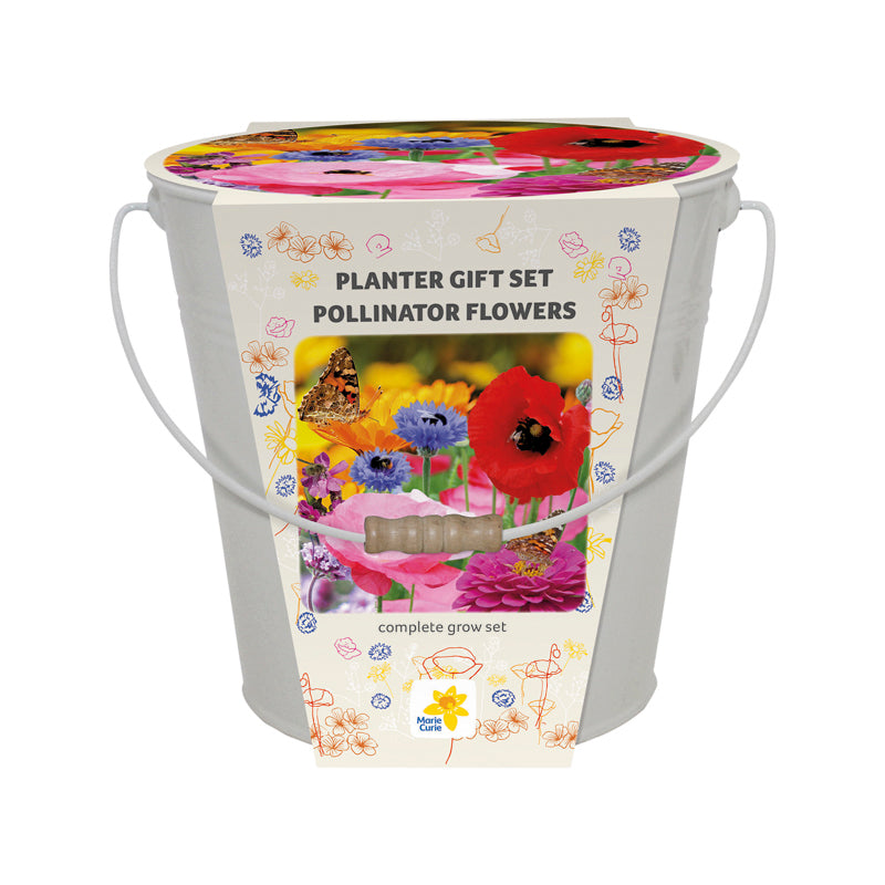 Marie Curie Pollinator Gift Bucket – Marie Curie Online Shop